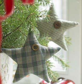 Ternede stjerner | Familie Journal